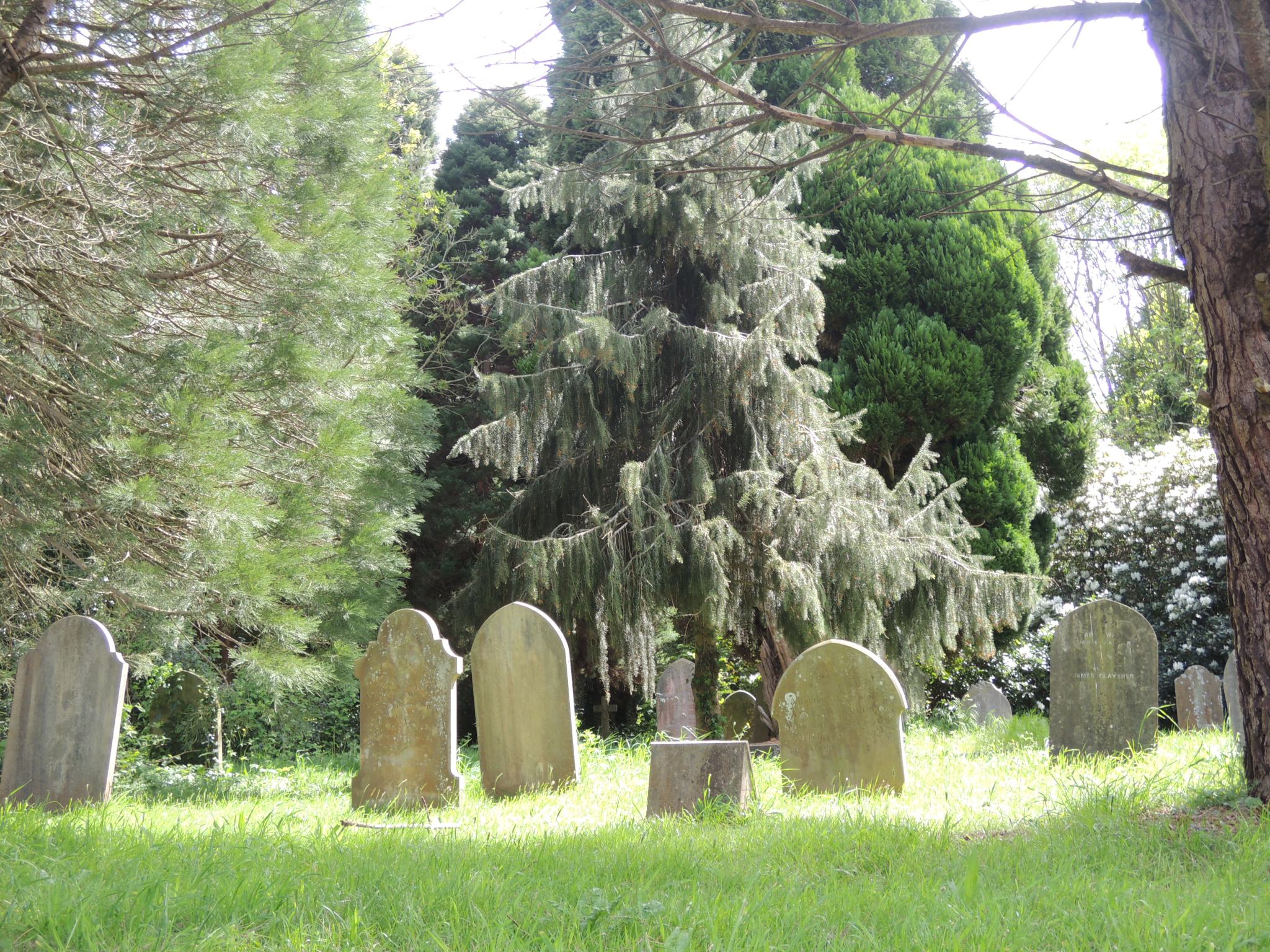 Horsham Cemetery full of life and fascination – Friends of Horsham ...