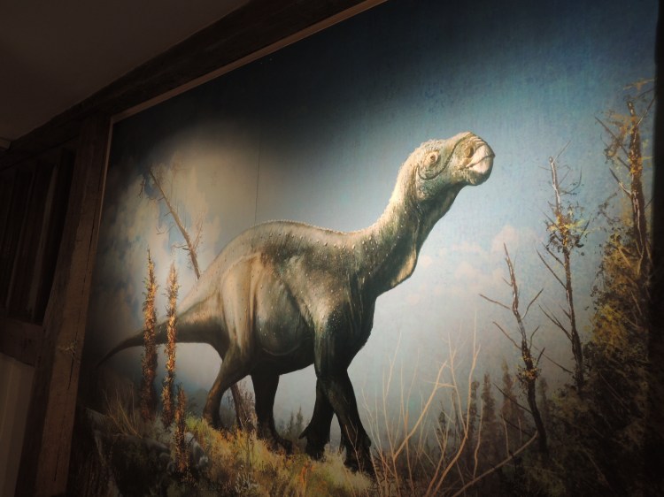 Dinosaur exhibition opens with help from the Friends – Friends of ...